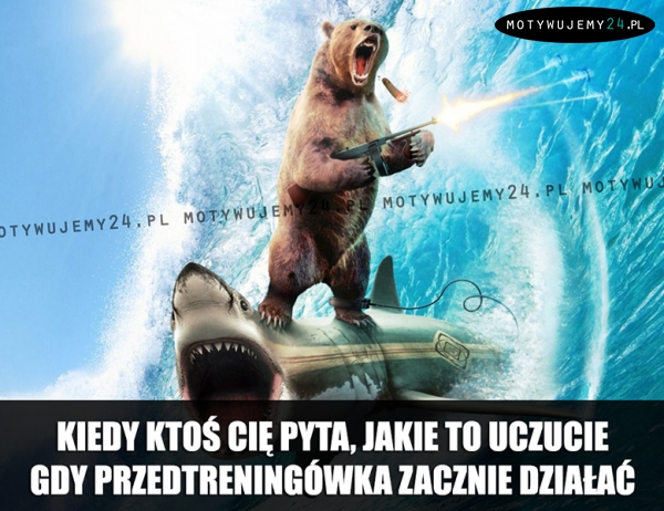 Kiedy ktoś Cię pyta, jakie to uczucie gdy... Kiedy ktoś Cię pyta, jakie to uczucie gdy...
